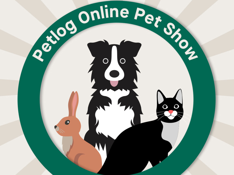 Pet Care Articles Petlog Pet Care Articles Petlog