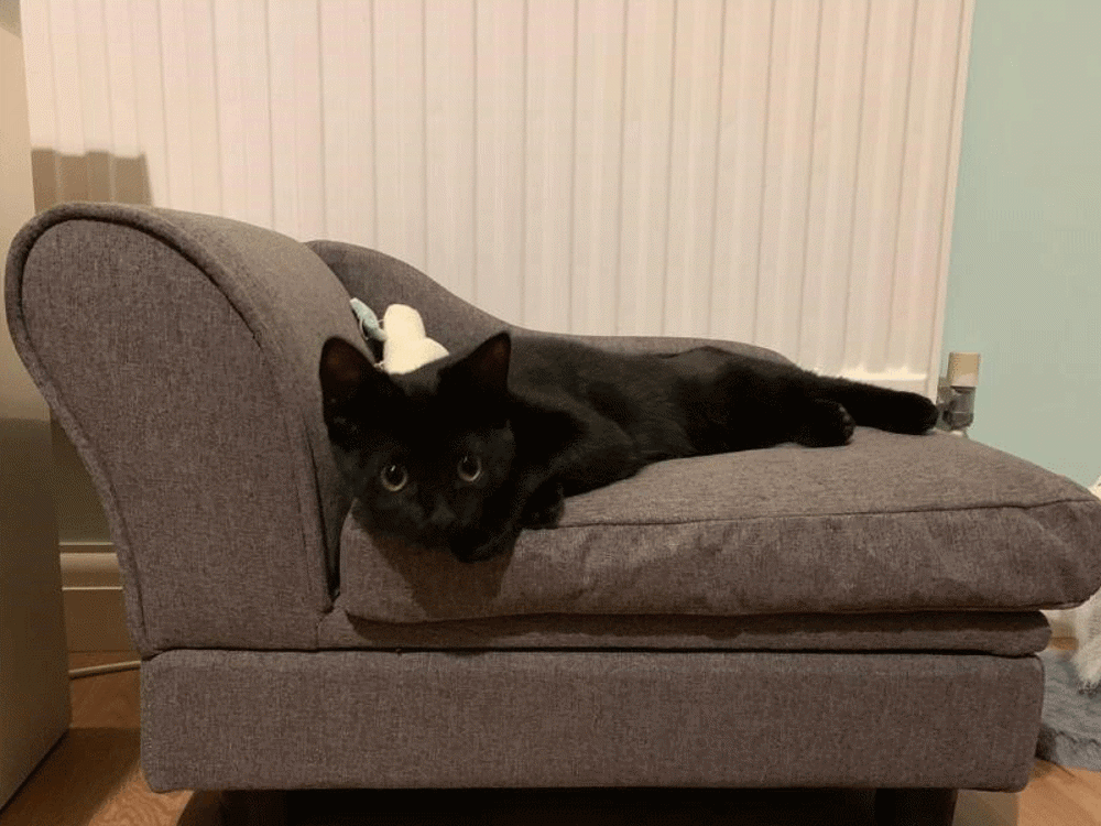 Penny reunited | Petlog