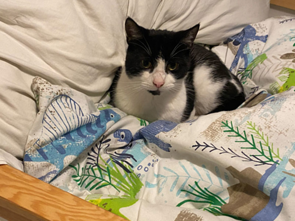 Luca reunited | News & Stories | Petlog